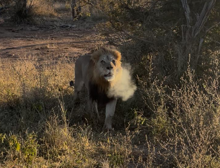 Packing For Your Safari in Winter - African Portfolio