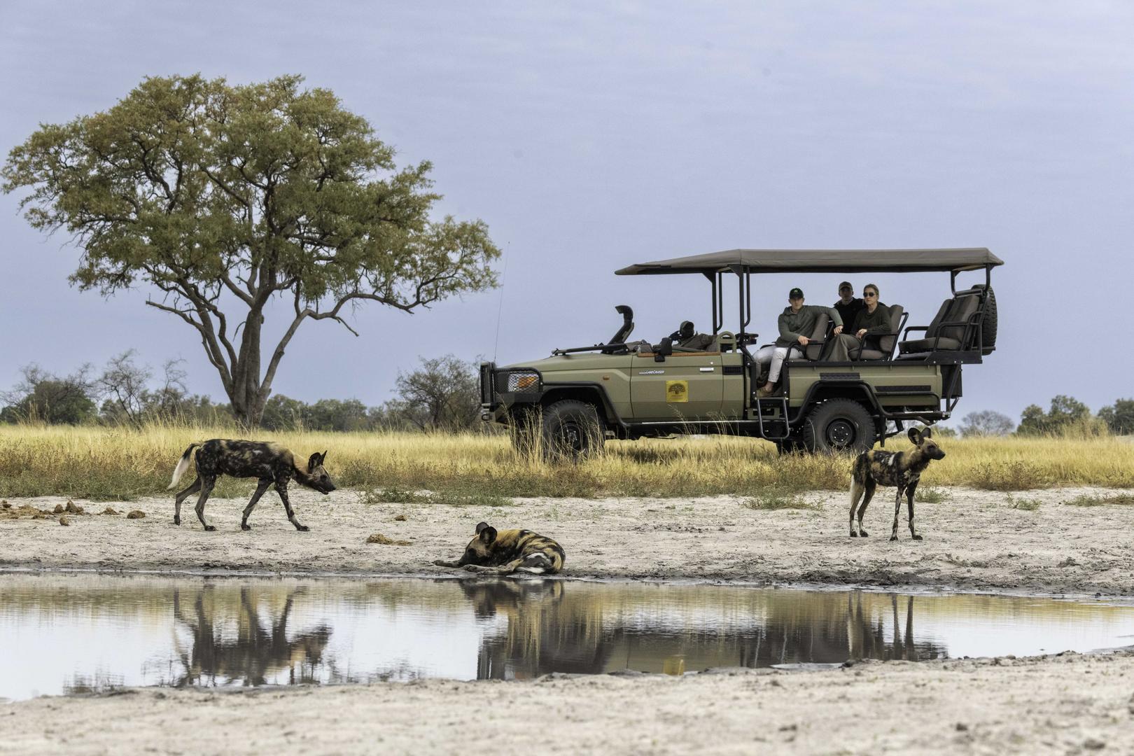 Packing For Your Safari in Winter - African Portfolio