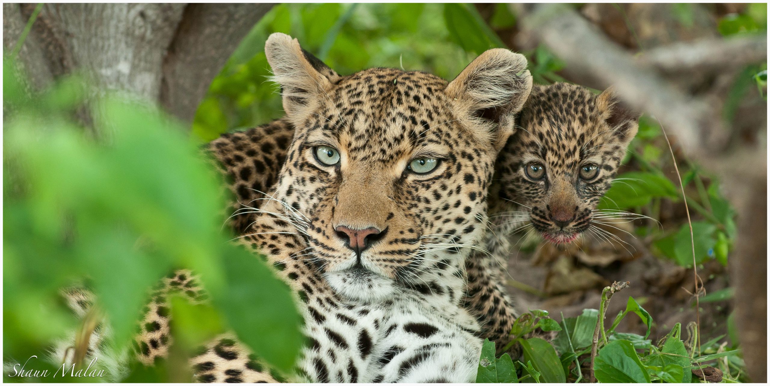 Why Get Travel Insurance? - African Portfolio