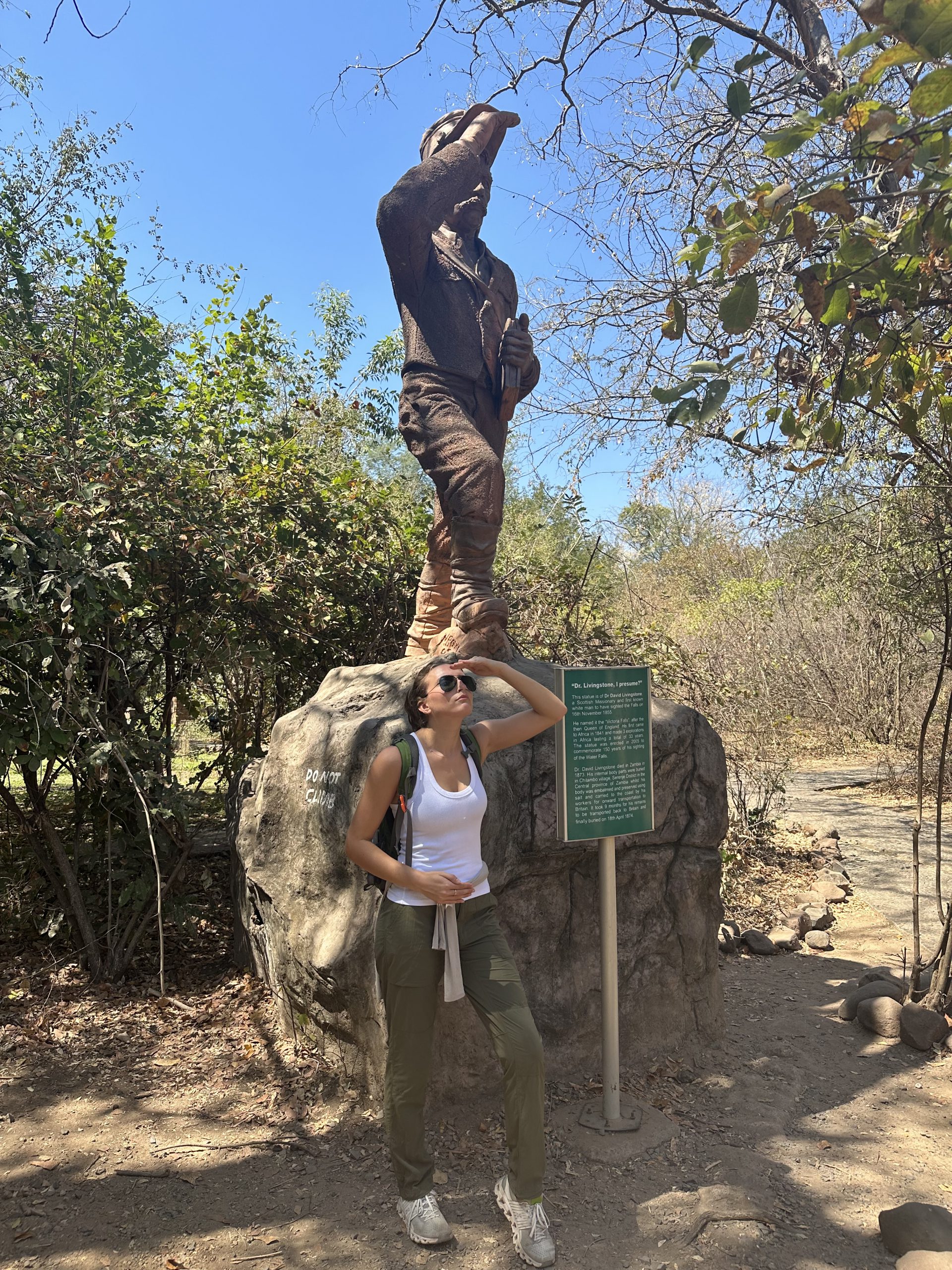 Victoria's Safari Journal: Livingstone - African Portfolio