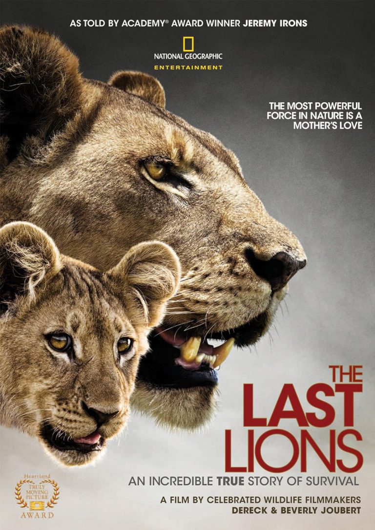Movies and Nature Documentaries to Get You in the Mood for an African ...