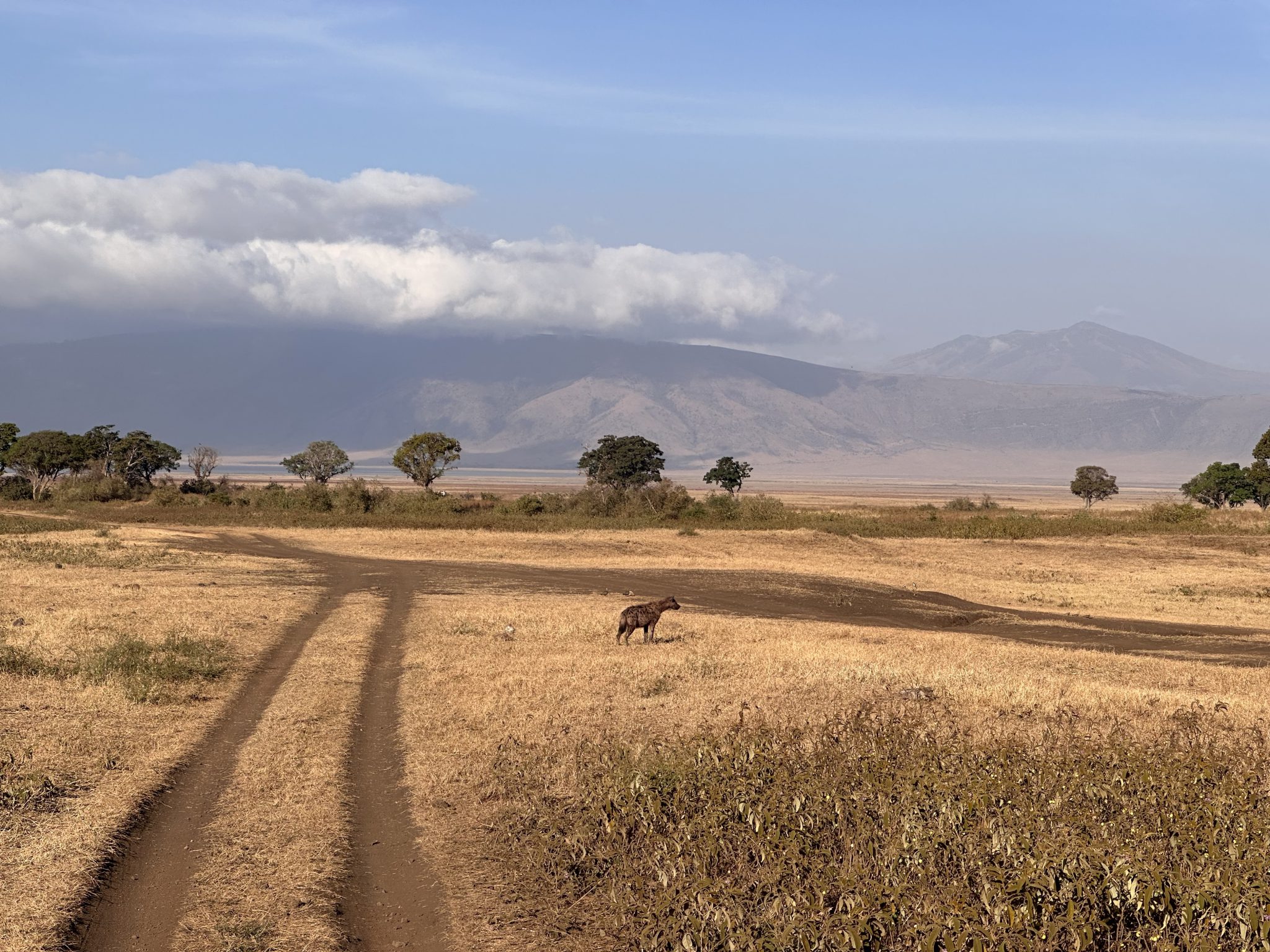 Ngorongoro Crater - Susan's Tanzania Adventure Continued .... - African ...